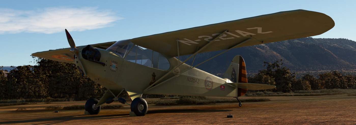 Piper Cub J-3 "Keetoowah" N-221AZ for Microsoft Flight Simulator | MSFS