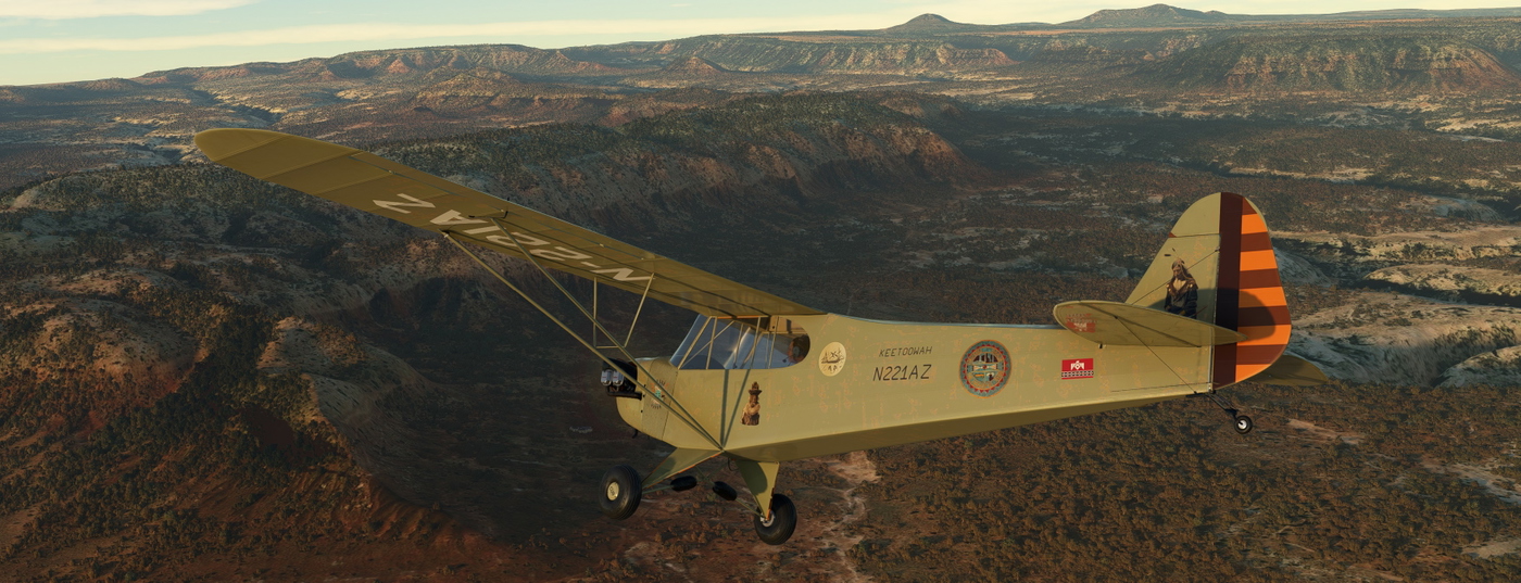 Piper Cub J-3 "Keetoowah" N-221AZ for Microsoft Flight Simulator | MSFS