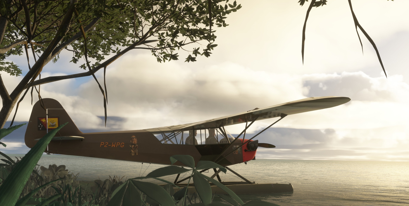 Piper L-4 Grasshopper fr Wapoga P2-WPG v2 (wheels & floats) for ...