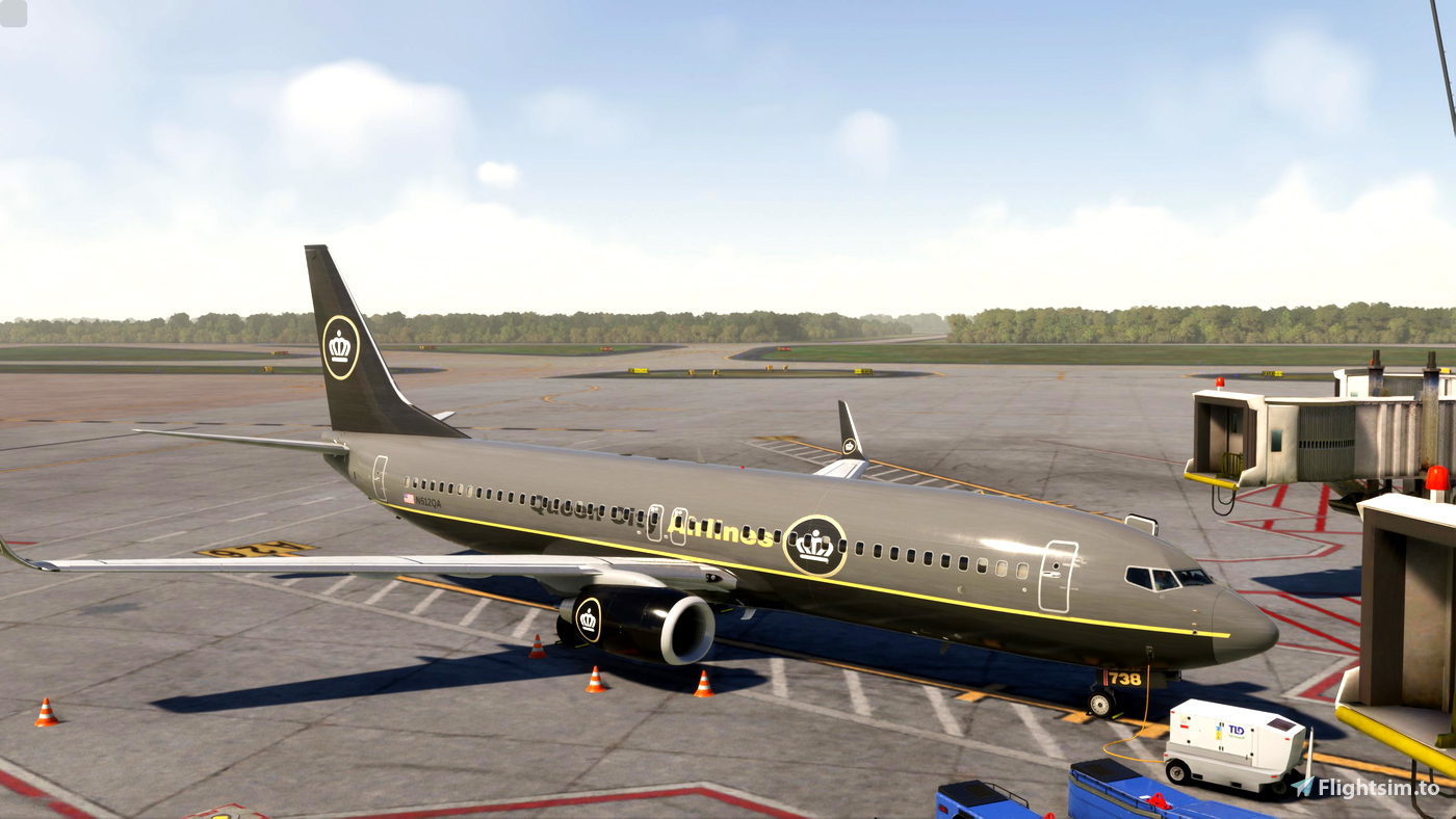 PMDG 737-800 Queen City Airlines Livery for Microsoft Flight Simulator ...