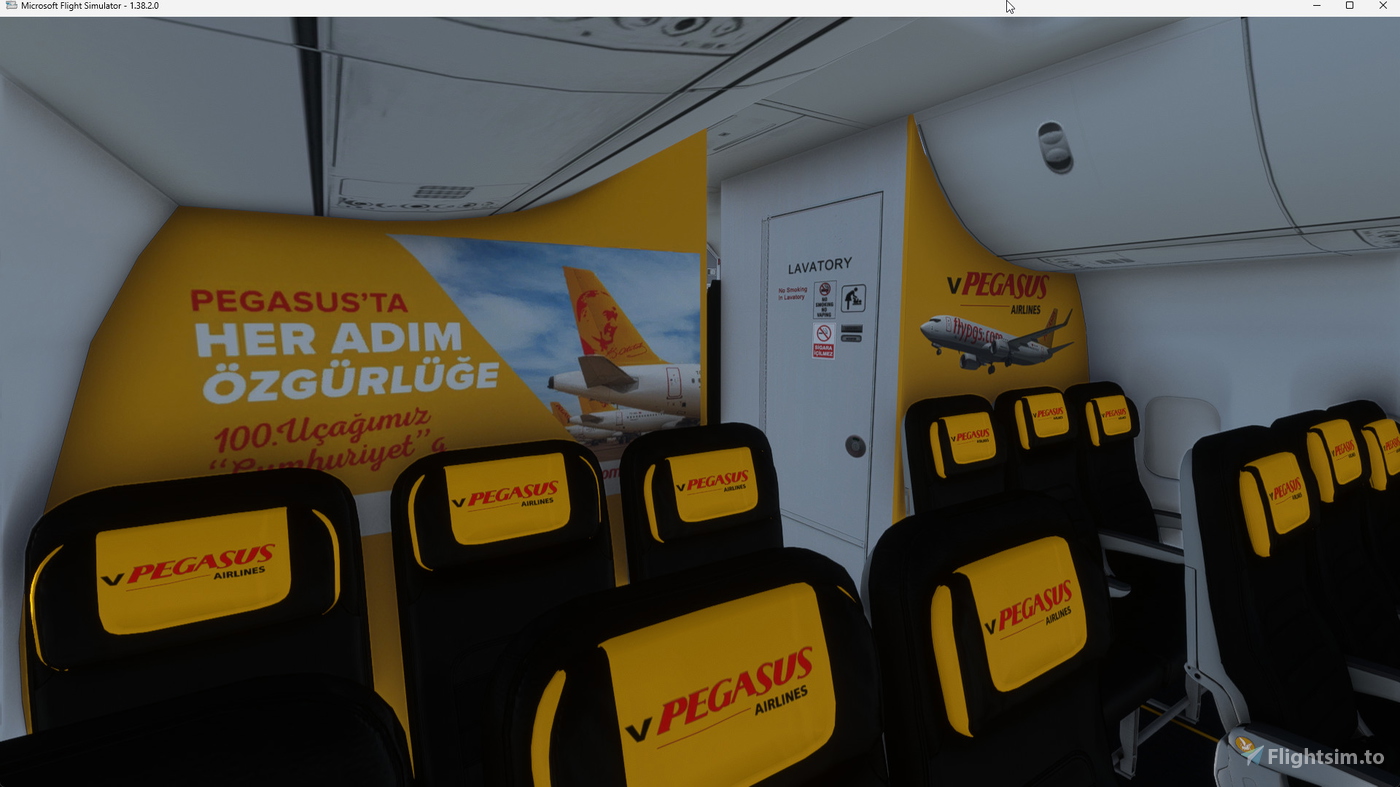 PMDG 737 - 800 Pegasus Airlines Virtual for Microsoft Flight Simulator | MSFS