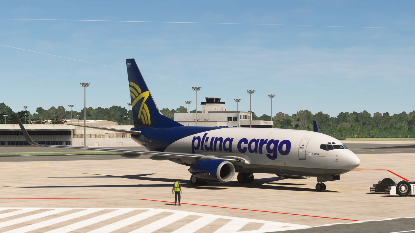 PMDG 737-700BDSF | Pluna Cargo for Microsoft Flight Simulator | MSFS