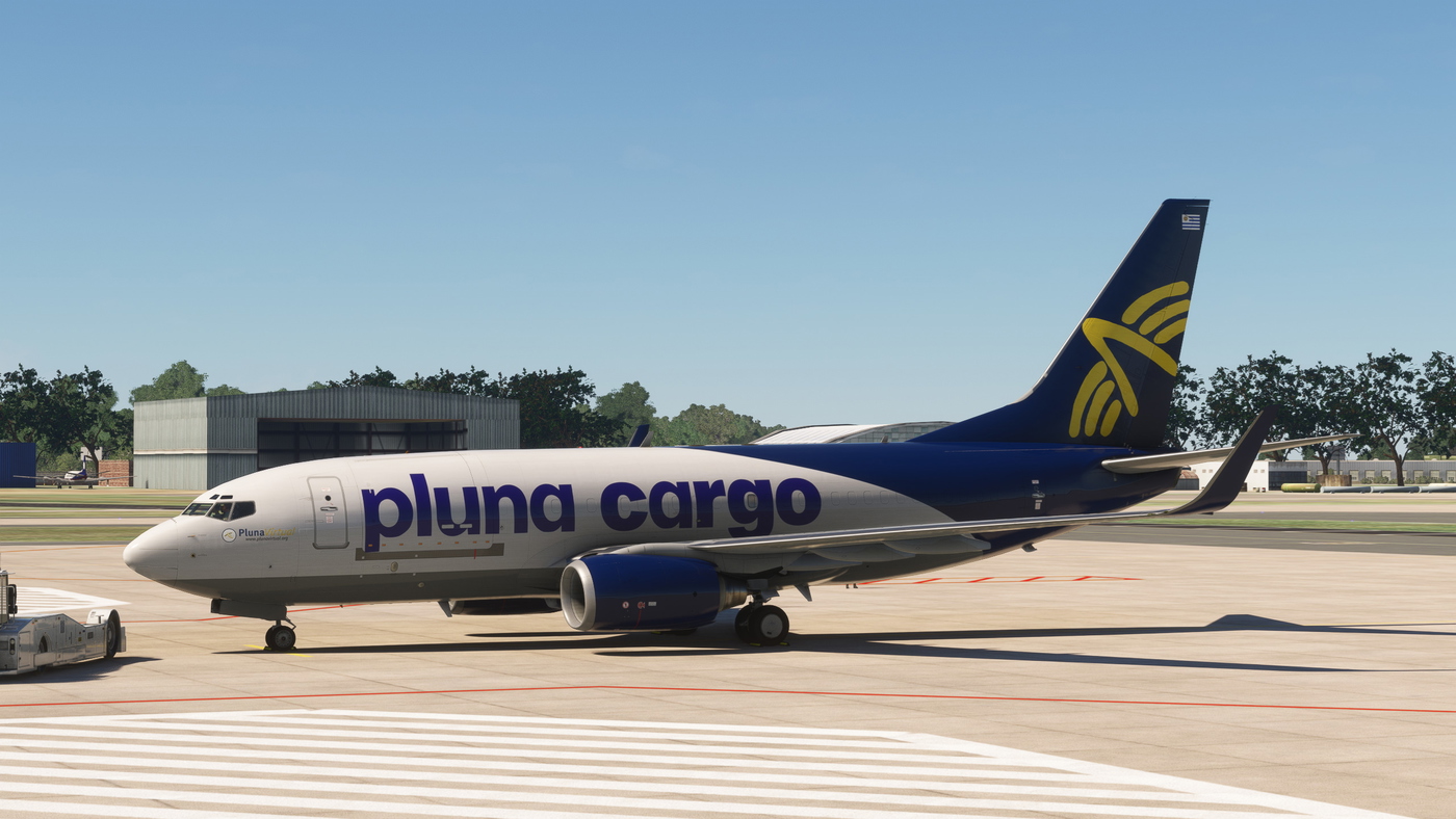 PMDG 737-700BDSF | Pluna Cargo for Microsoft Flight Simulator | MSFS
