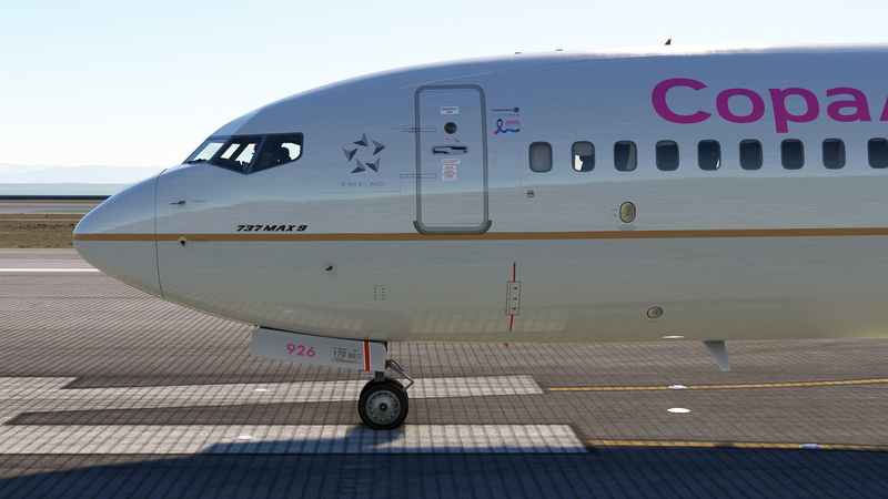 PMDG 737-900ER - Copa Airlines - 2 Liveries [8K] for Microsoft Flight ...