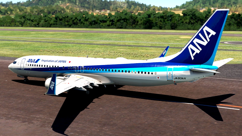 PMDG 737-800 - All Nippon Airways - 3 liveries (w/ cabin) 对于 Microsoft ...