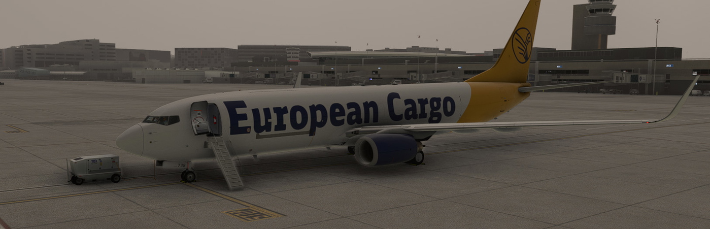 PMDG 737-800 BCF – European Cargo (EUC) para Microsoft Flight Simulator ...