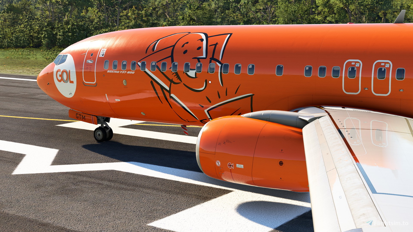 PMDG 737-800 - GOL Linhas Aereas PR-GTM - "TV ao Vivo" (w/ cabin) for Microsoft Flight Simulator ...