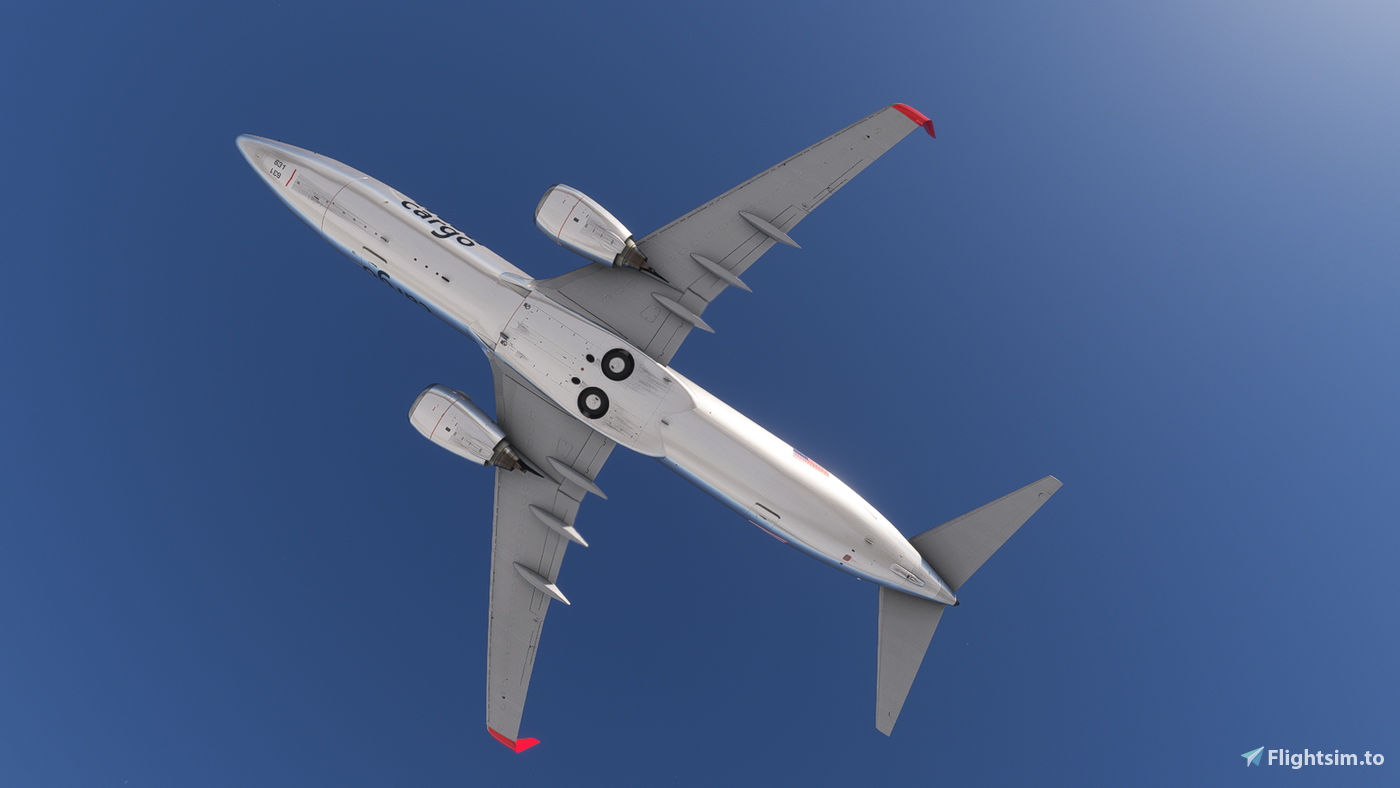 PMDG 737-800 Northwest Airlines Cargo (N613NW) for Microsoft Flight ...
