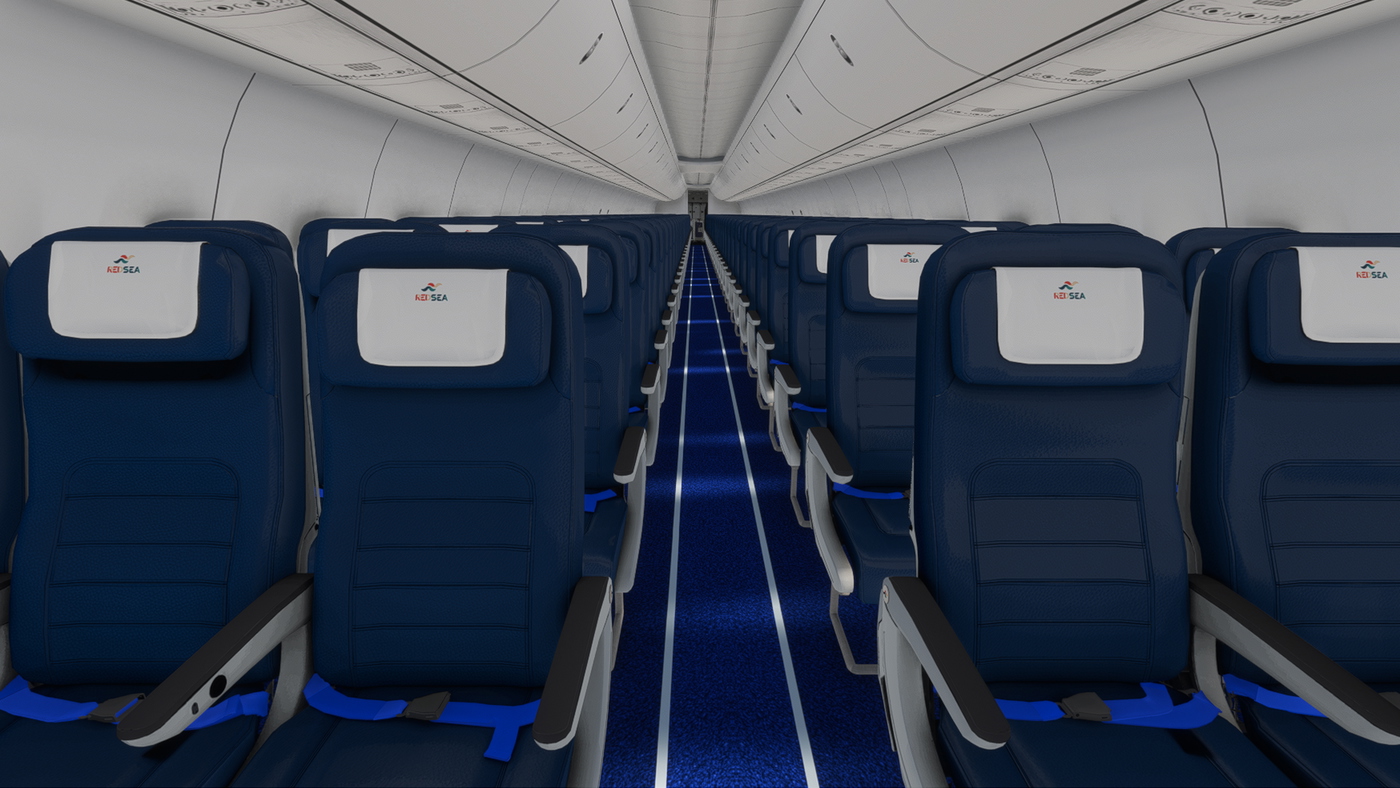 PMDG 737-800 w/ cabin Red Sea Airlines (SU-RSA & SU-RSB) for Microsoft ...