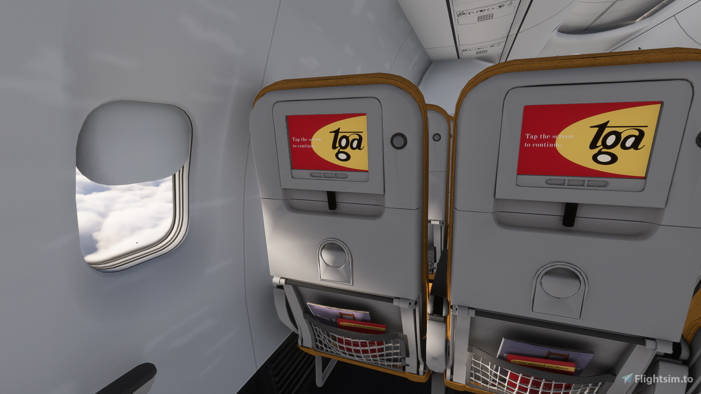 PMDG 737-800 w/ cabin Trans Global Airlines (N324F) for Microsoft ...