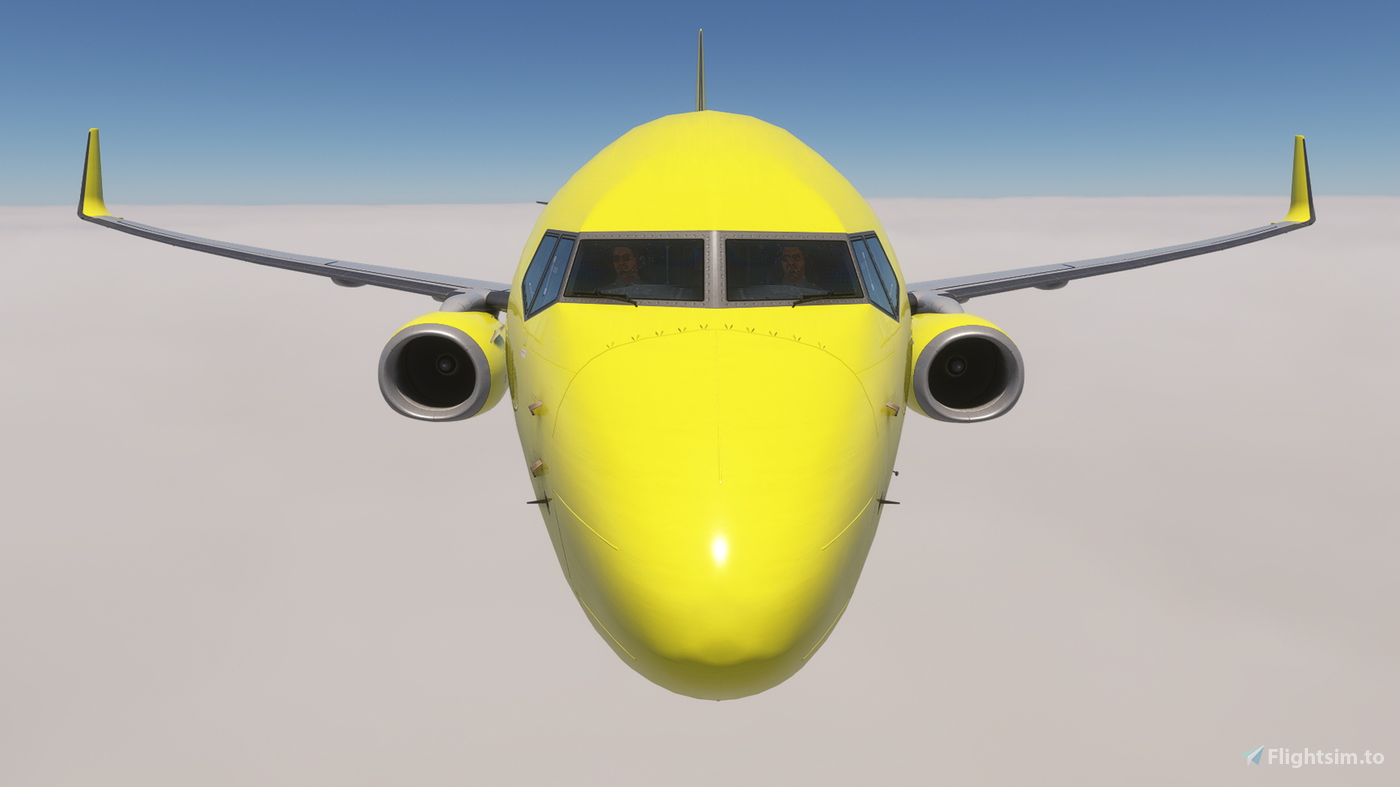 PMDG 737-800BCF Poste Air Cargo fleet para Microsoft Flight Simulator ...