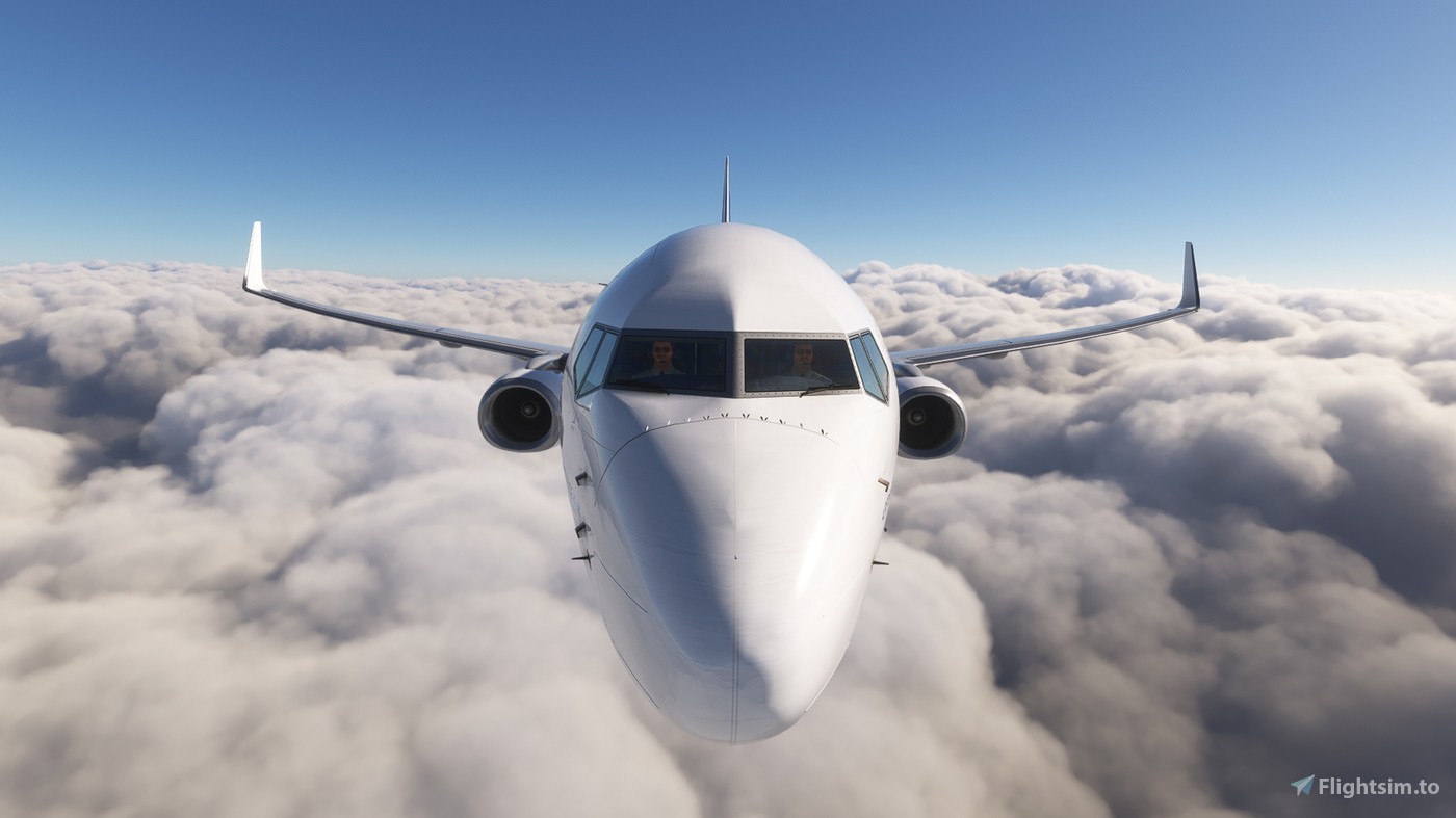 PMDG 737-900(ER) Air France (F-GJND) for Microsoft Flight Simulator | MSFS