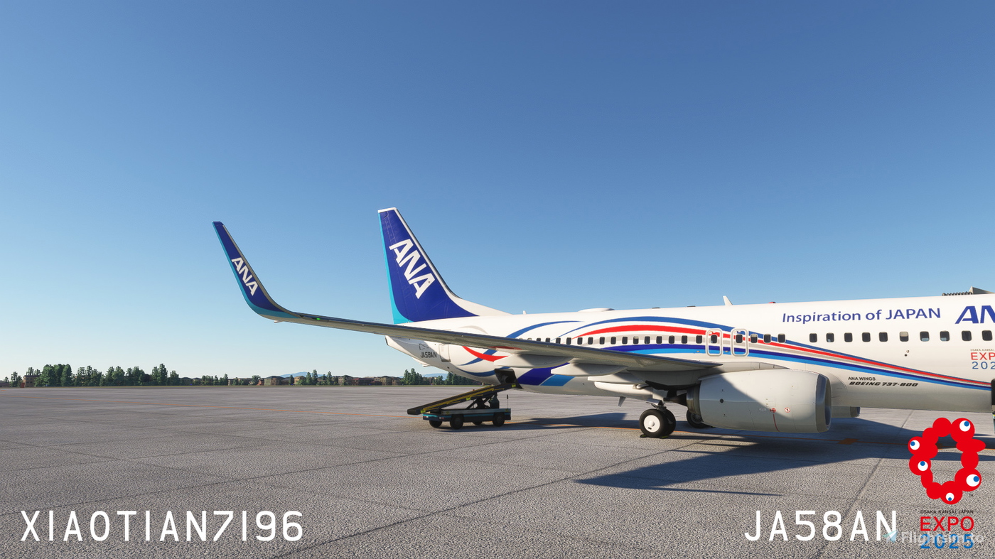PMDG NG3 737-881 ANA EXPO 2025 Osaka JA58AN Livery for Microsoft Flight Simulator | MSFS
