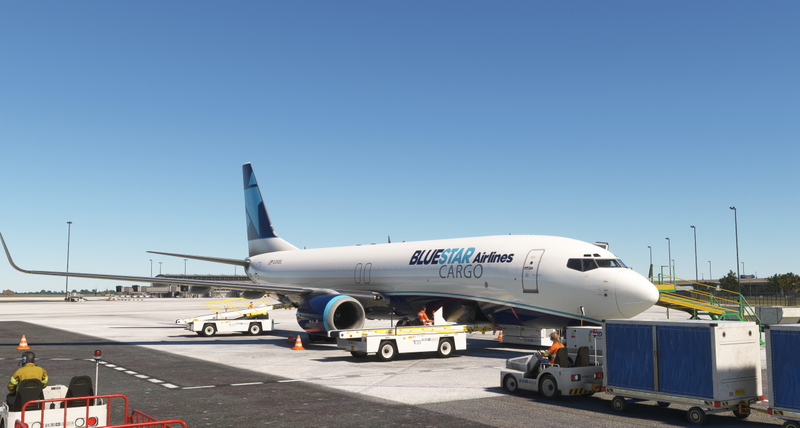 PMDG Boeing 737-800 Liveries for Microsoft Flight Simulator | MSFS ...