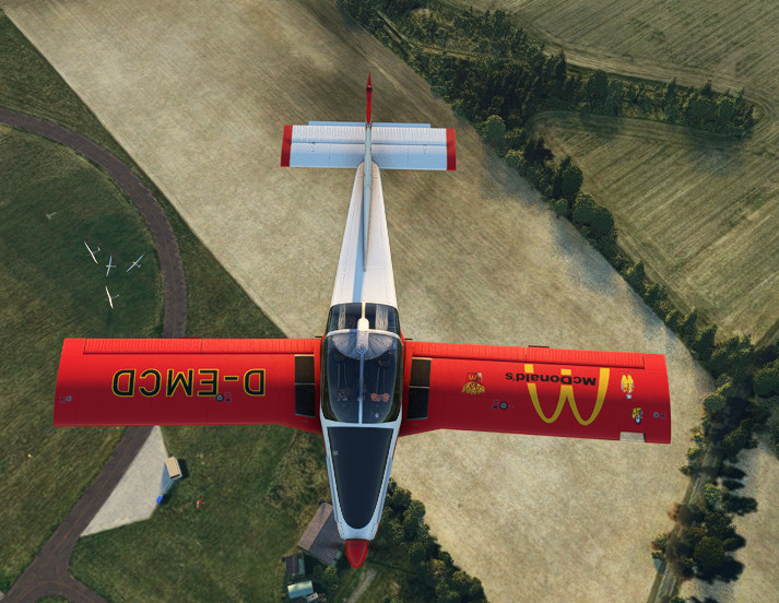 PWDT Zlin 142 / "McDonald's" / 2 versions (as requested) for Microsoft ...