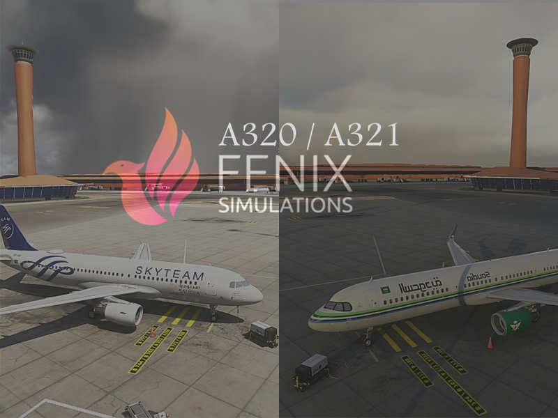 Custom Views for Fenix Simulations A320 on Microsoft Flight Simulator