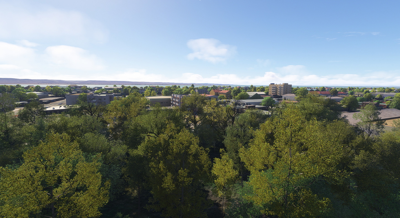 Rio Gallegos Realistic Trees 对于 Microsoft Flight Simulator | MSFS