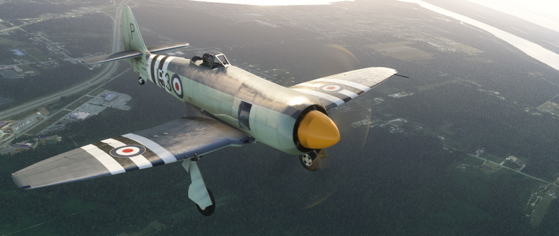 Other Liveries Liveries for Microsoft Flight Simulator | MSFS