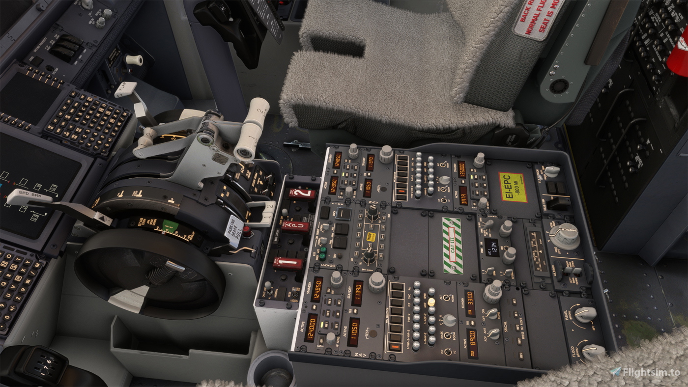 Ryanair "Special cargo Decals" PMDG 737-800BW for Microsoft Flight ...