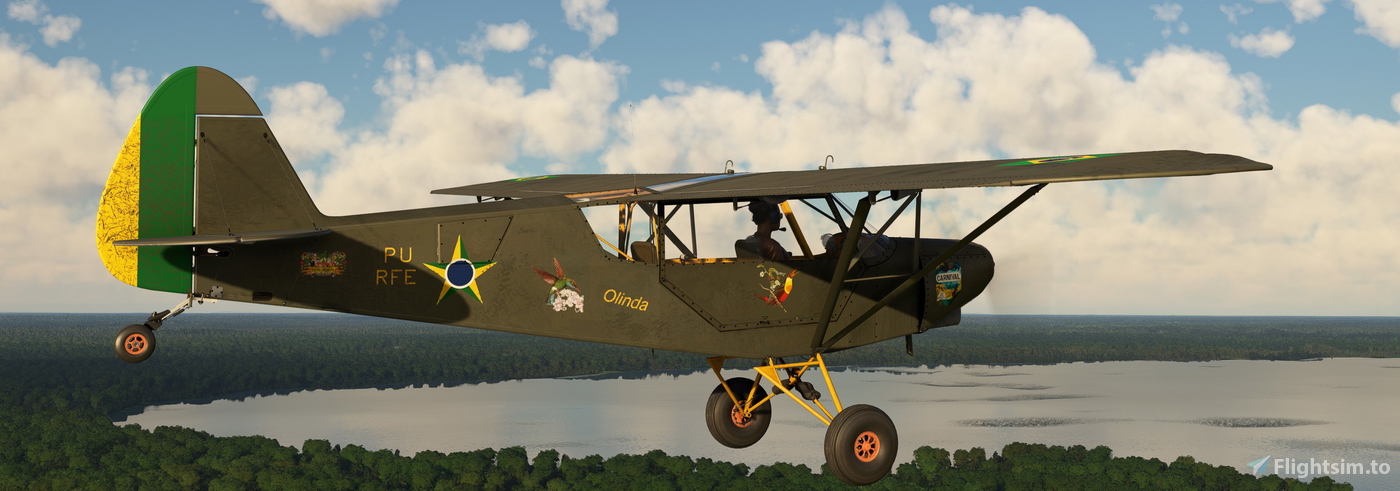 Savage Cub Recife PU-RFE v2 (updated) for Microsoft Flight Simulator | MSFS