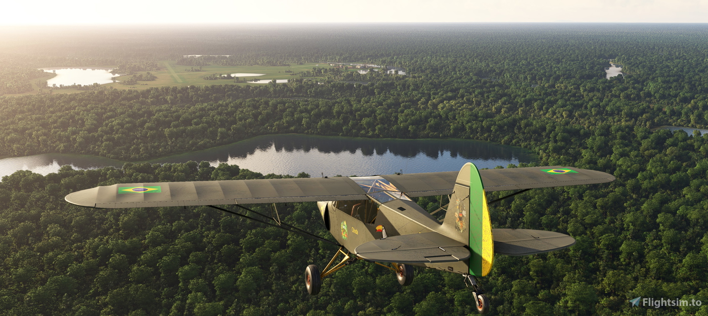Savage Cub Recife PU-RFE v2 (updated) for Microsoft Flight Simulator | MSFS