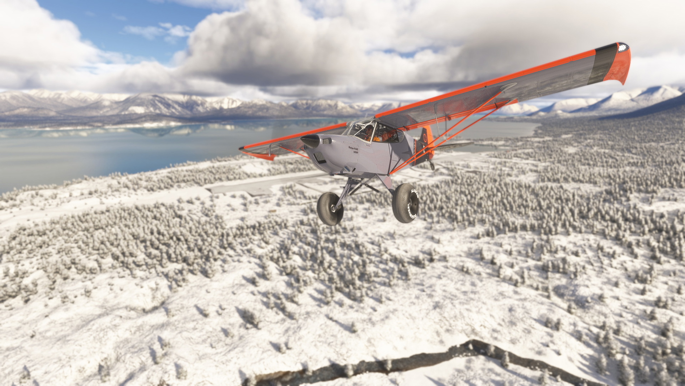 Savage Norden - Beaver24's Livery Pack 对于 Microsoft Flight Simulator | MSFS