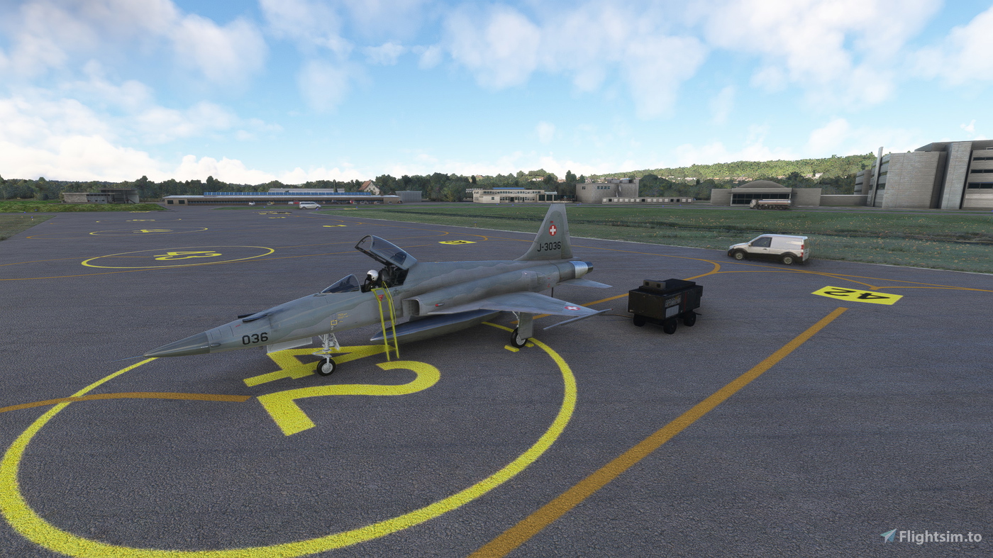 SC Designs F-5E Tiger II Swiss Air Force J-3036 grey and special tail ...