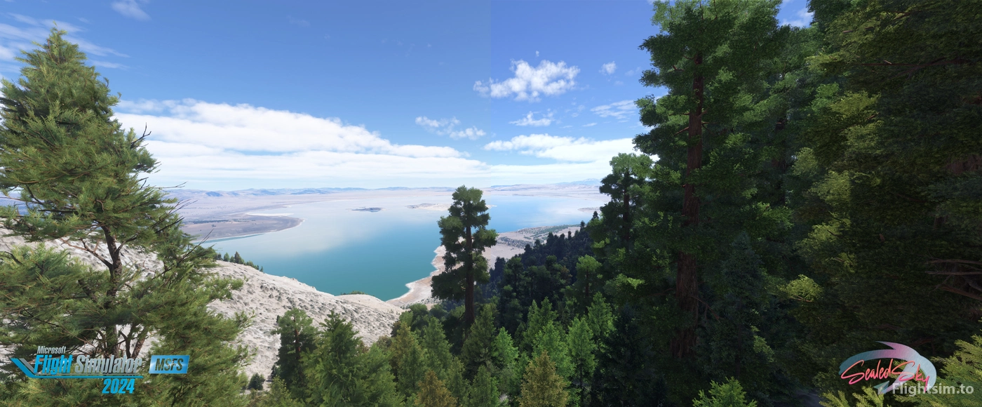 Sealed Sky Reshade for Microsoft Flight Simulator | MSFS