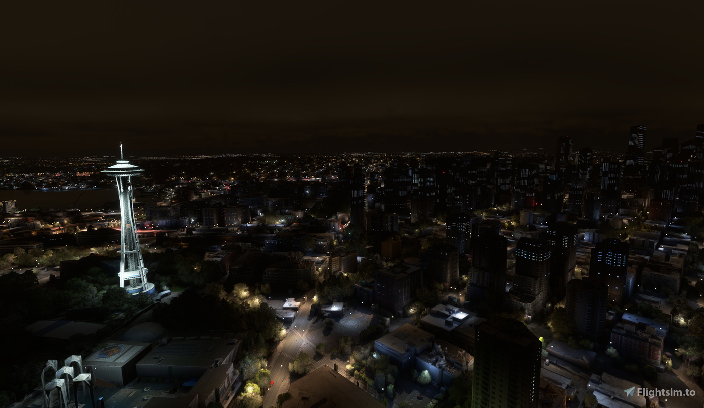 Seattle Space Needle Night Light のために Microsoft Flight Simulator | MSFS