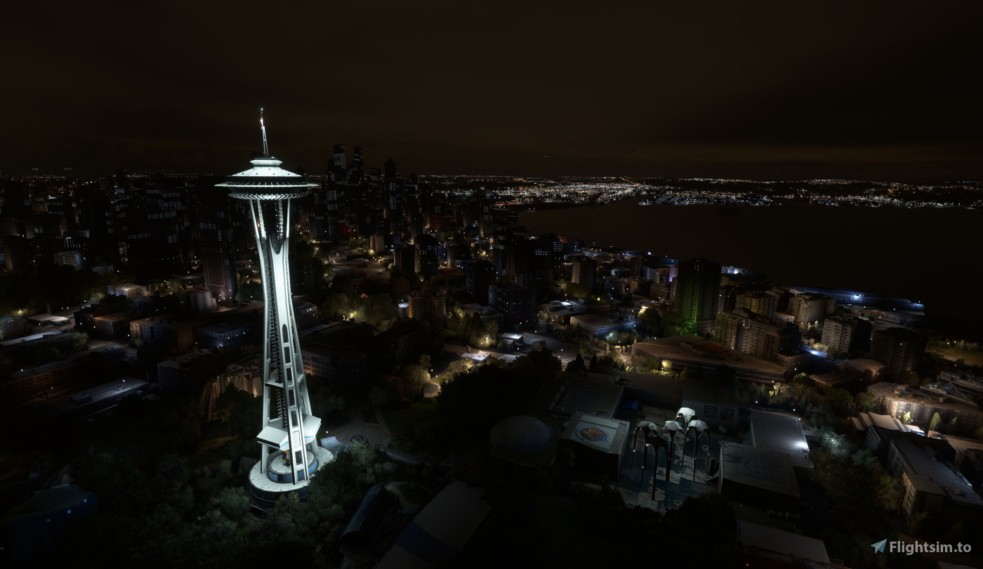 Seattle Space Needle Night Light のために Microsoft Flight Simulator | MSFS