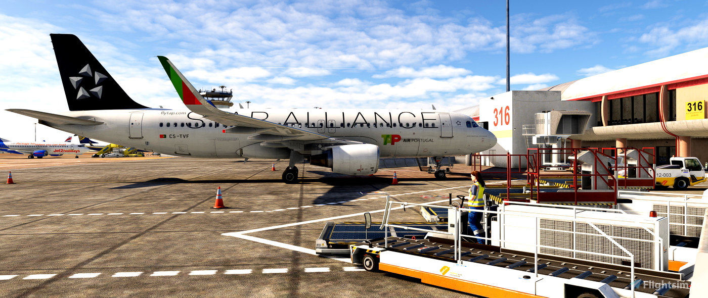 TAP Air Portugal - Star Alliance A320-CFM-SL Fuselage/Cabin (8k) for ...