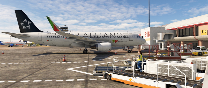 Fenix Simulations A320 Liveries for Microsoft Flight Simulator | MSFS