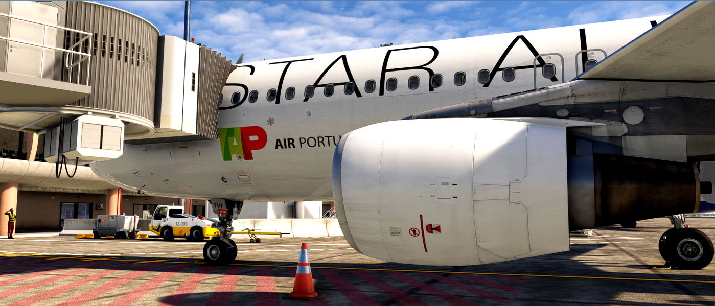 TAP Air Portugal - Star Alliance A320-CFM-SL Fuselage/Cabin (8k) for ...