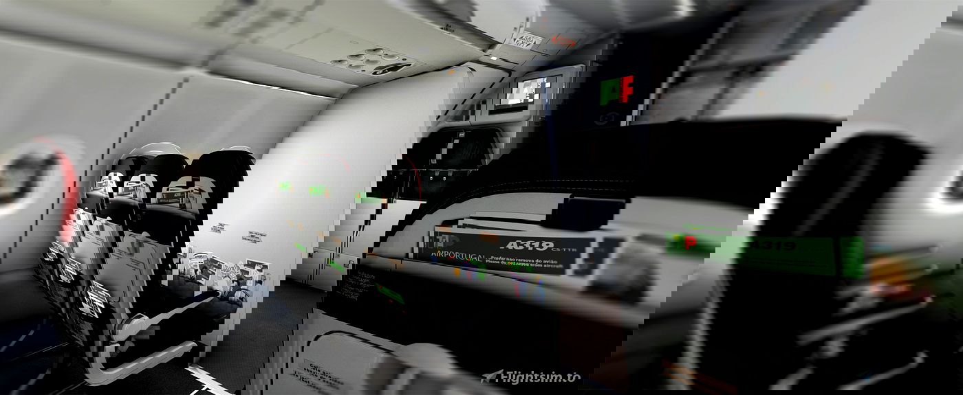 TAP PORTUGAL A319 Fuselage/Cabin (8k) for Fenix Simulation A319-CFM for ...