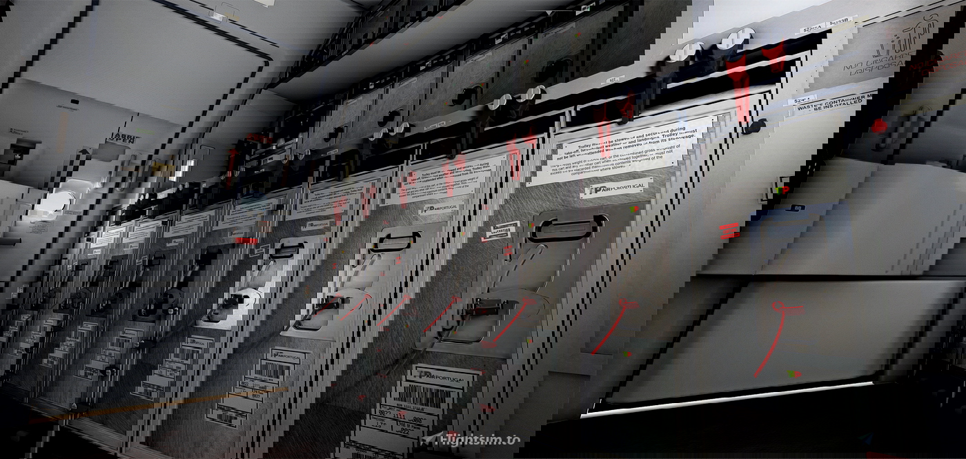 TAP PORTUGAL A319 Fuselage/Cabin (8k) for Fenix Simulation A319-CFM for ...