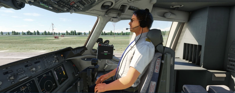 Copilot Views for Microsoft Flight Simulator | MSFS | Flightsim.to