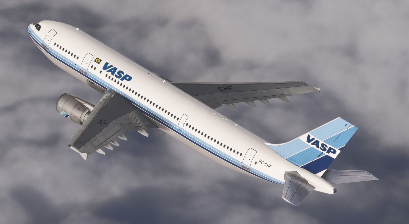VASP (Clara Charf) [PC-CHF] | IniBuilds A300-600R のために Microsoft Flight ...