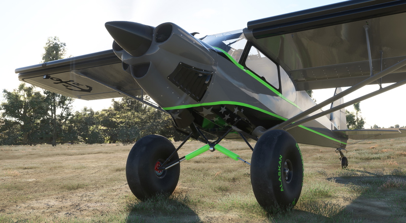 XCub Liberty for Microsoft Flight Simulator | MSFS