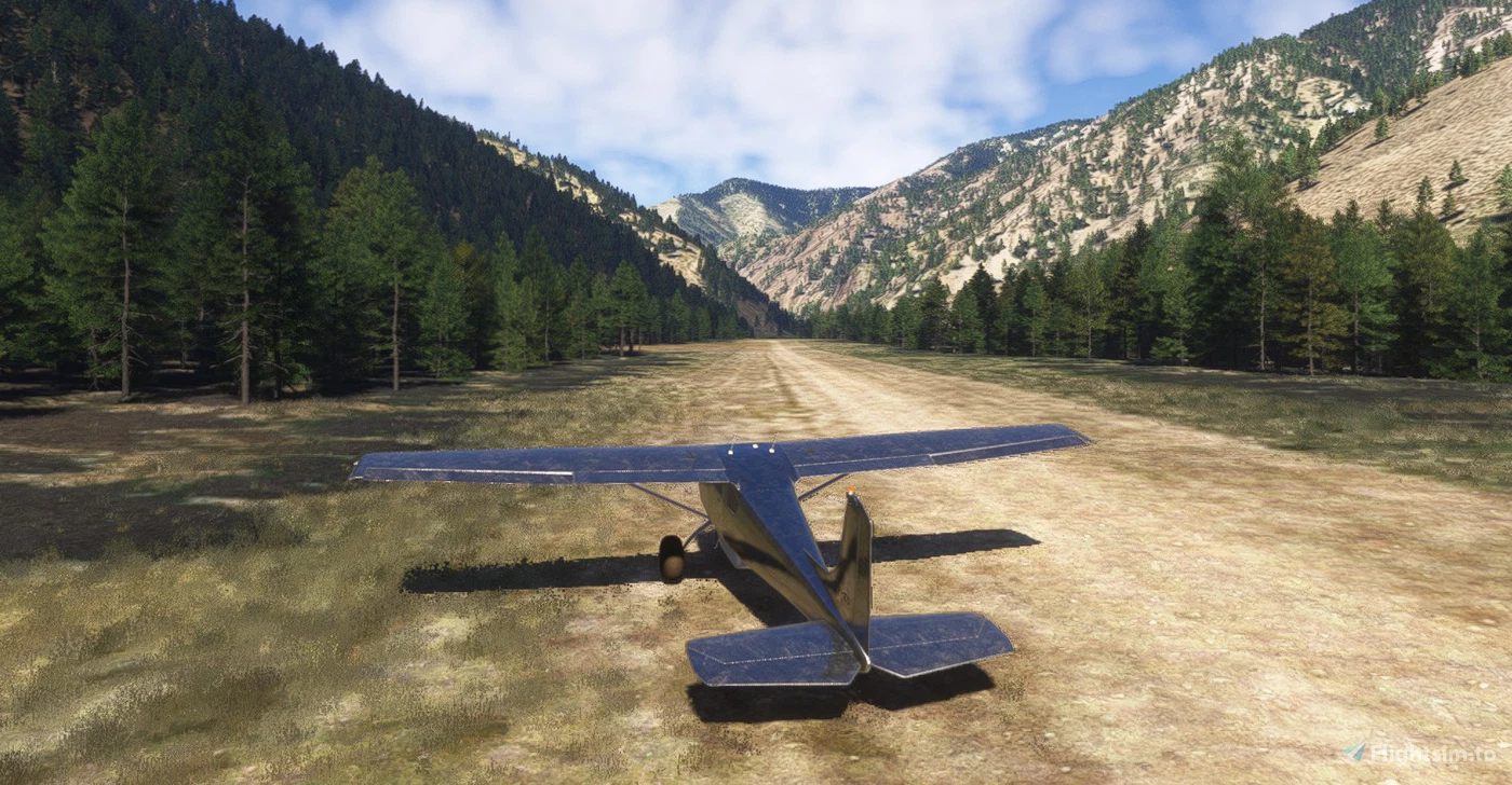 Cessna 180 Backcountry para Microsoft Flight Simulator | MSFS