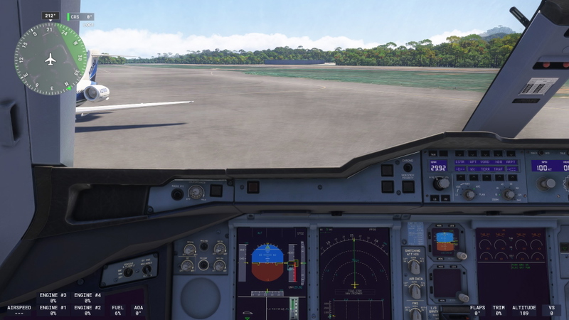 Custom Views Liveries for Microsoft Flight Simulator | MSFS