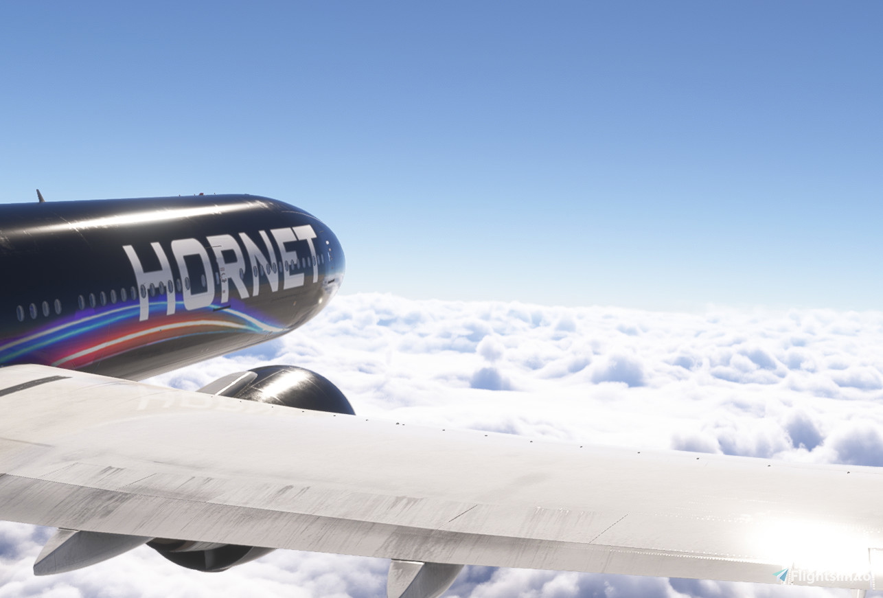 Hornet Virtual Airline for PMDG 777-300ER pro Microsoft Flight ...