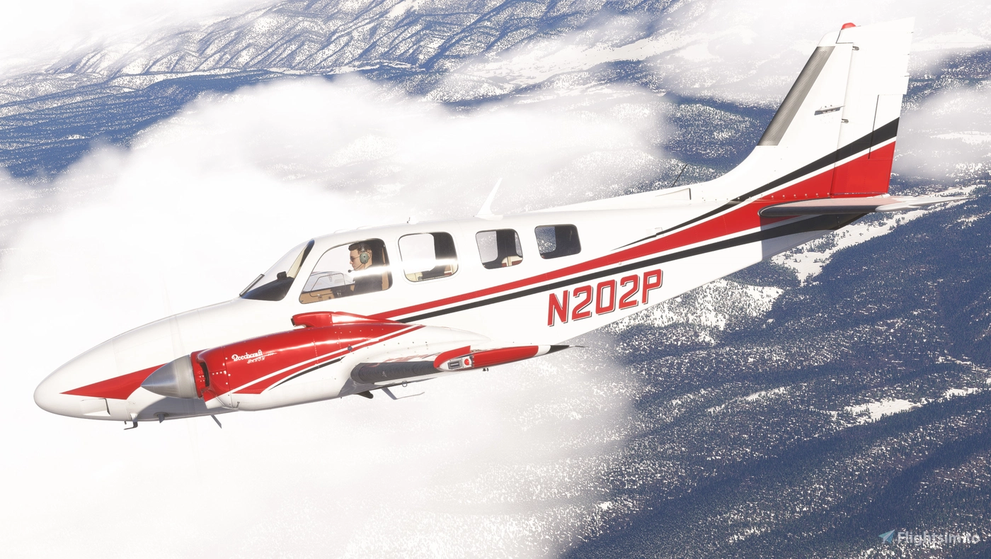 N202P / Dynamic Registration / Interior / Black Square Baron Pro per ...