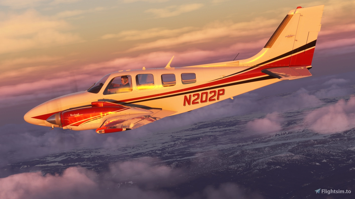 N202P / Dynamic Registration / Interior / Black Square Baron Pro per ...