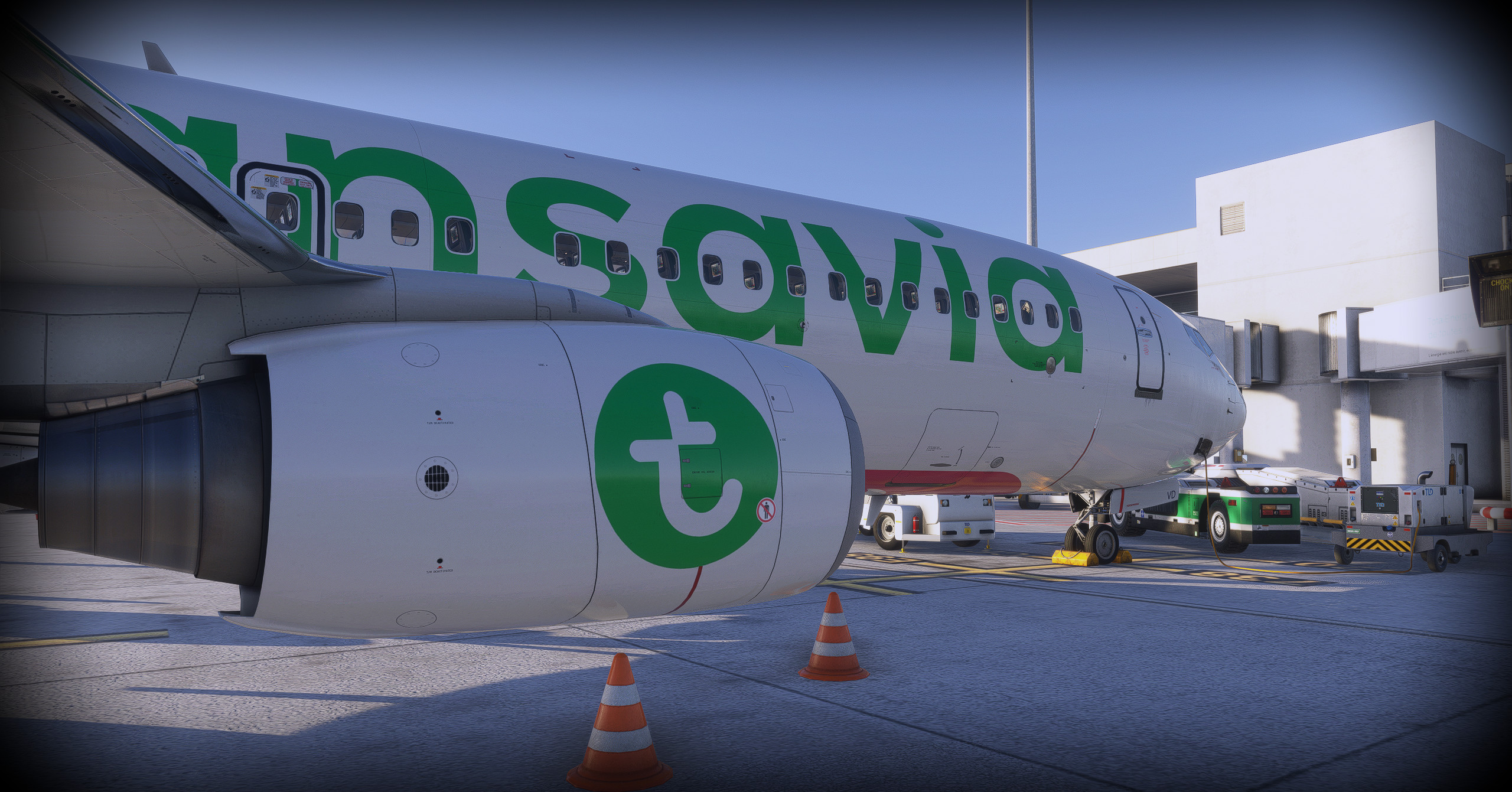 [PMDG 737] Transavia Cabin Pack - MSFS Add-on - Flightsim.to
