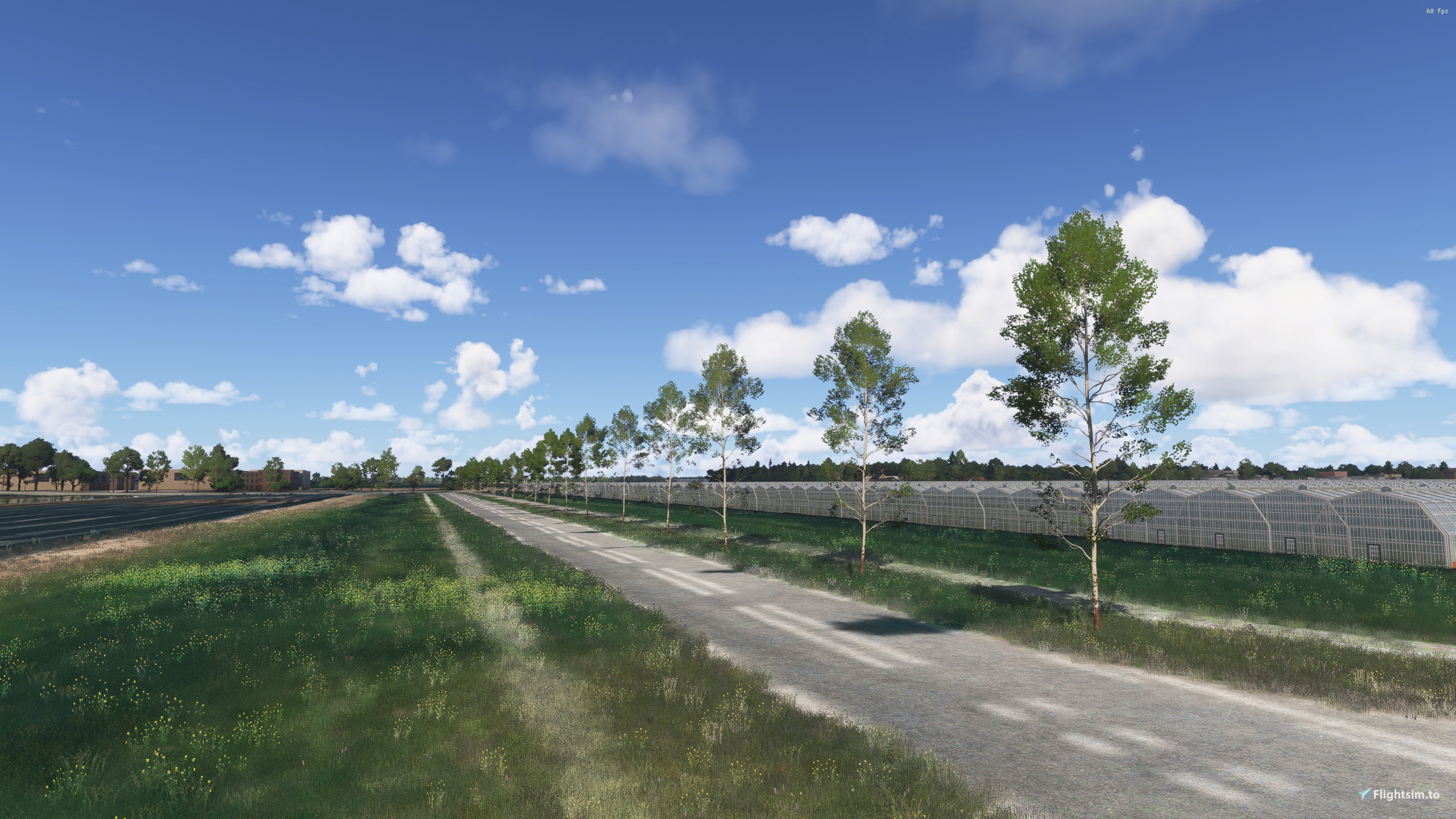 Schenkeveld Greenhouse Fix with Greenhouses - MSFS Add-on - Flightsim.to