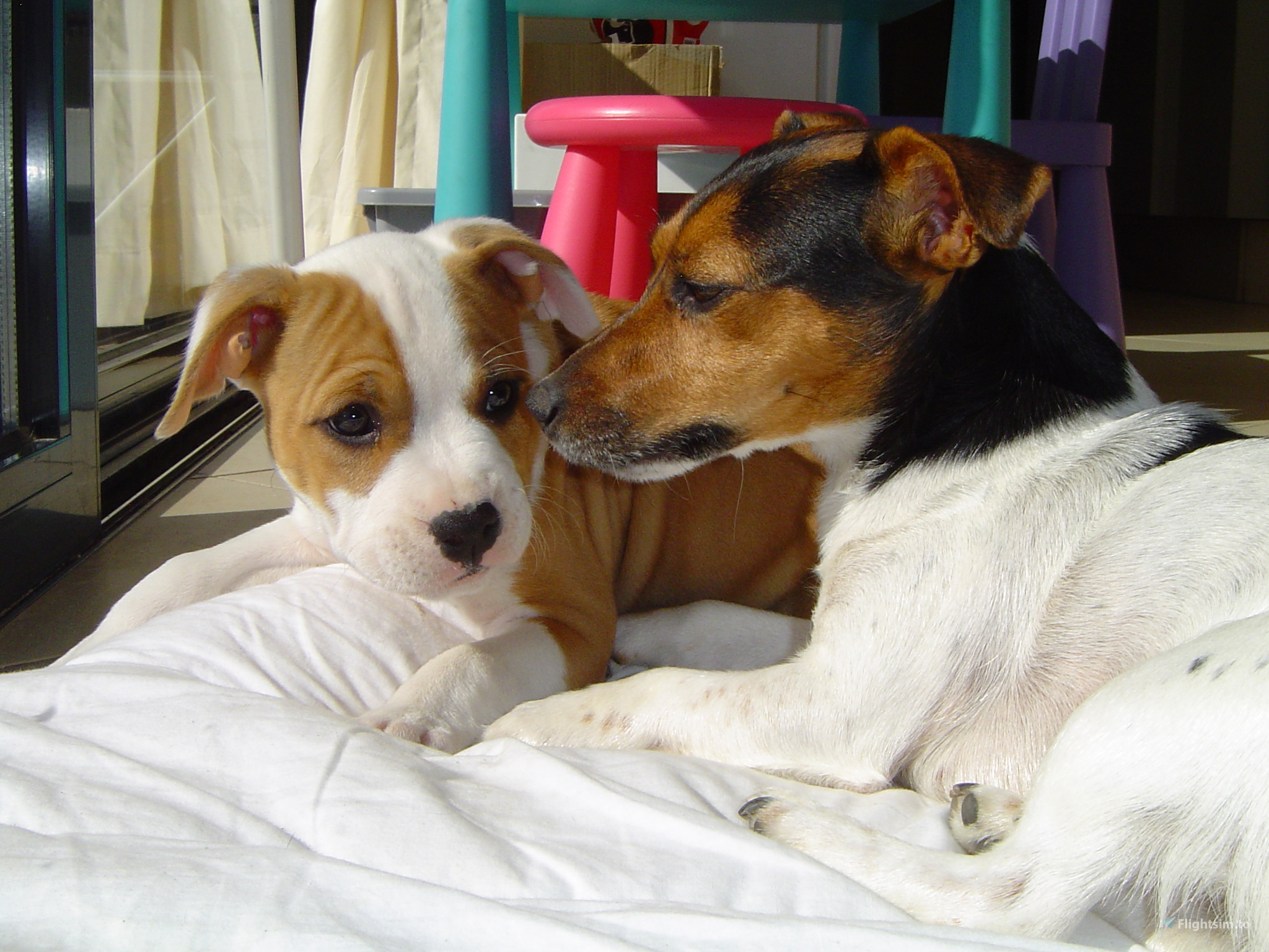 Flightsim.to - Profile of ProjectMegaPack