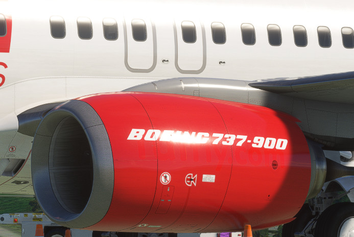 PMDG B739 and B739ER plus SSW Corendon 9H-TJA for Microsoft Flight ...