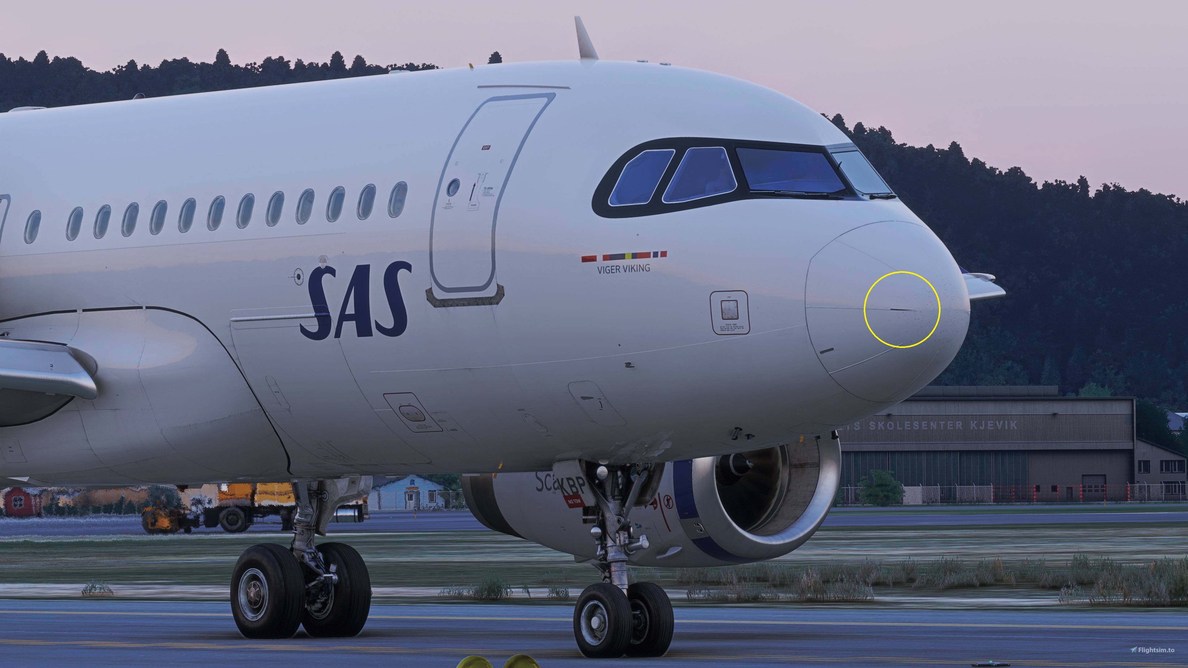 SAS [Fleet] w/Cabin - Fenix A319 for Microsoft Flight Simulator | MSFS