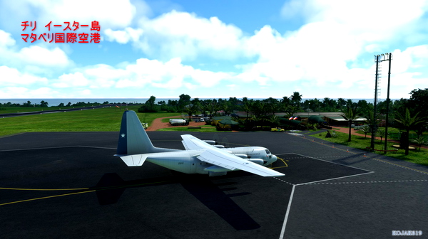 C-130 Captain Exterior Chilean Air Force, 995 for Microsoft Flight ...