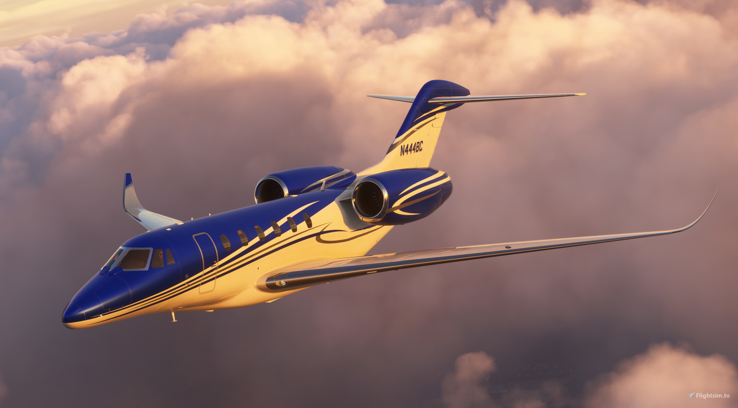 FlightFX Cessna Citation X - N444BC (Dynamic Registration) for ...